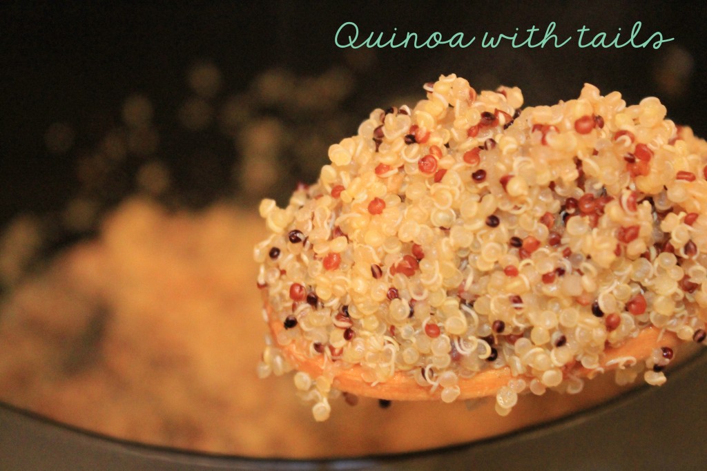 How to cook the perfect Quinoa | God Save the Quinoa